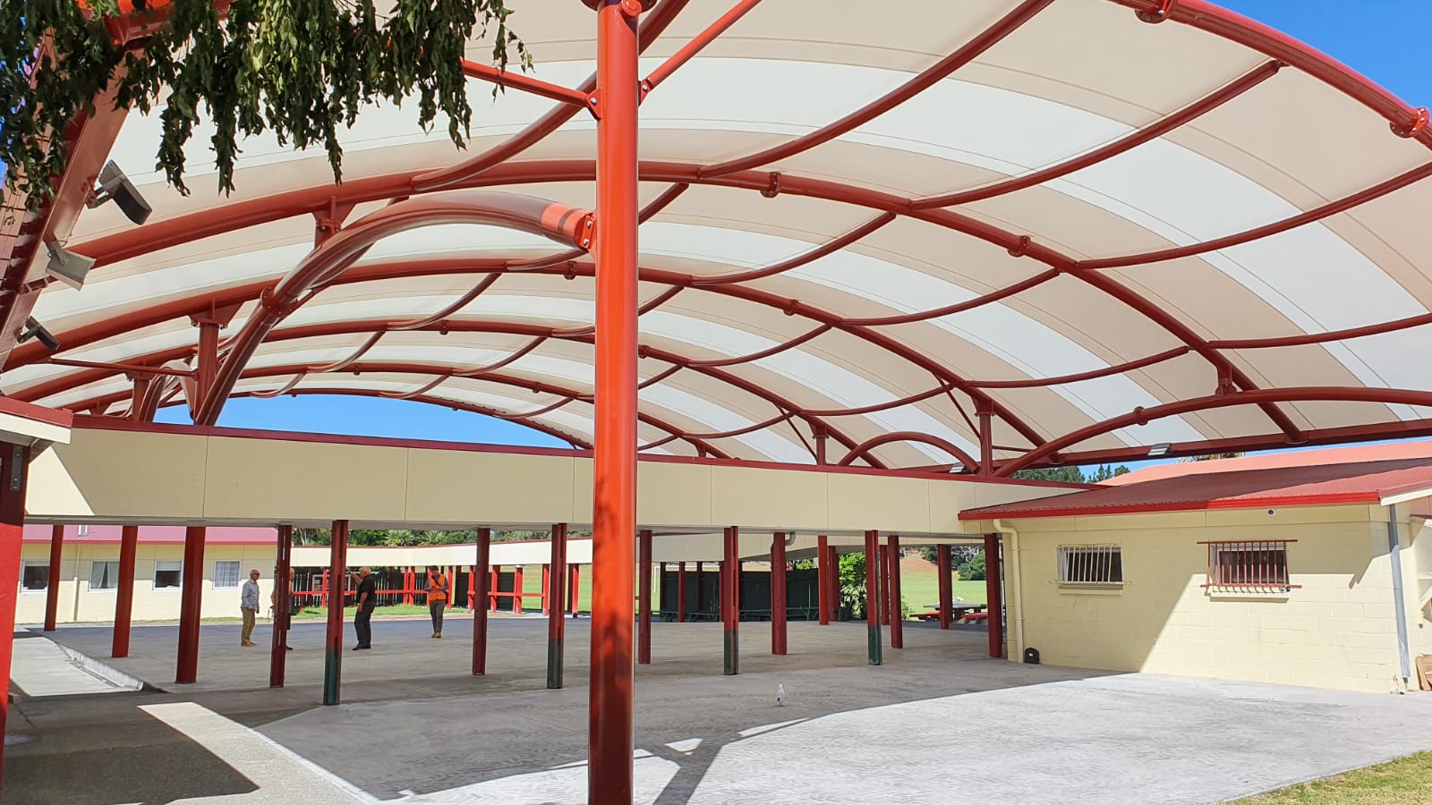 COLA Canopy®: School Shade - Shade Systems NZ
